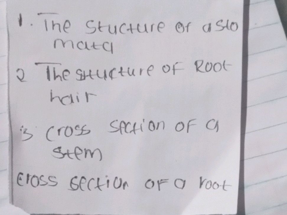 1. The Stucture of a stomata 2 The stucture | StudyX