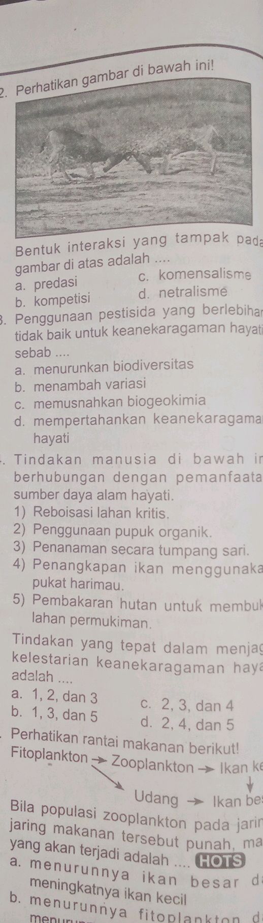 2. Perhatikan gambar di bawah ini! Bentuk | StudyX