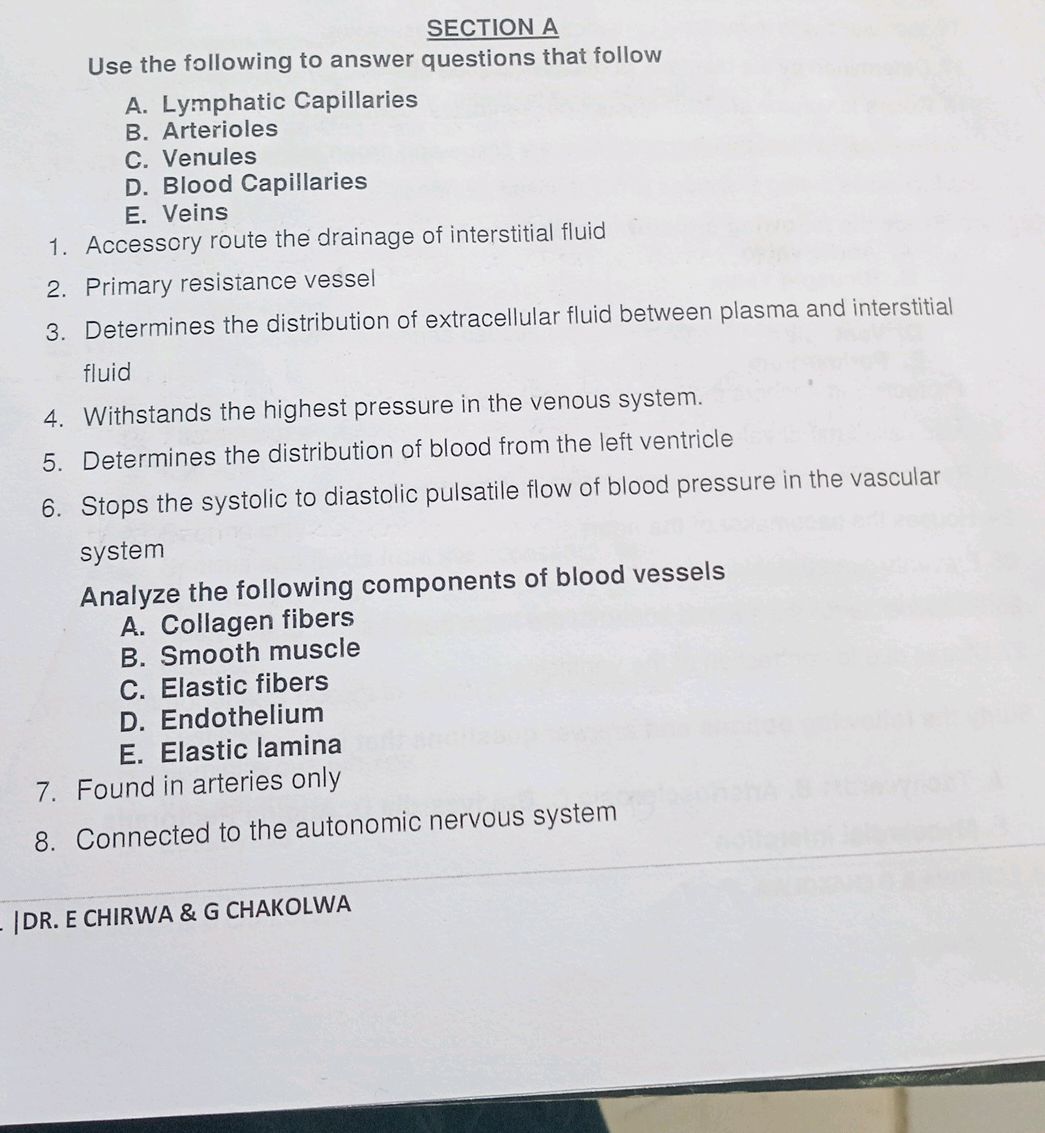 Use the following to answer questions that | StudyX