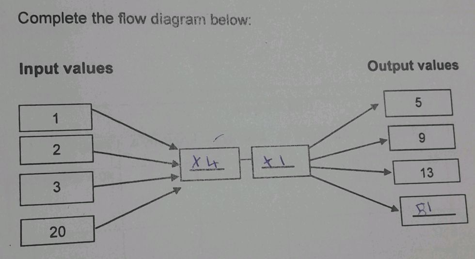 Complete the flow diagram below: Input | StudyX