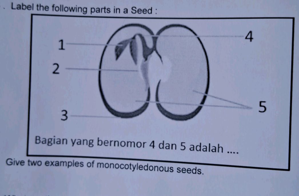 -. Label the following parts in a Seed : 1 | StudyX