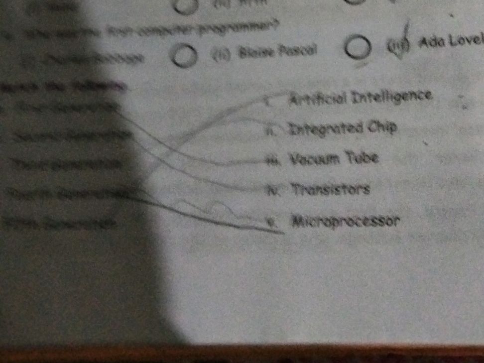 Who was the first computer programmer? (i) | StudyX