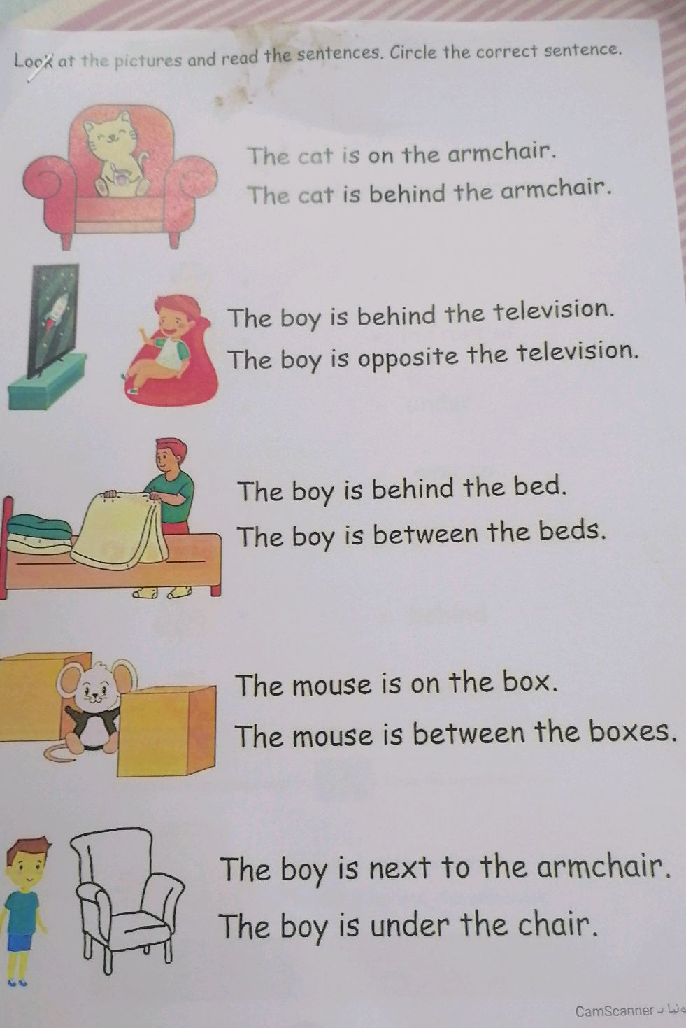 Look at the pictures and read the sentences. | StudyX