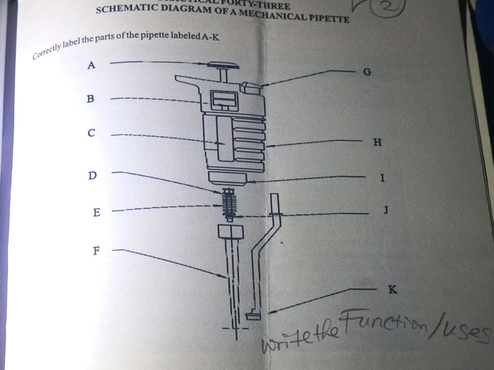 Correctly label the parts of the pipette | StudyX
