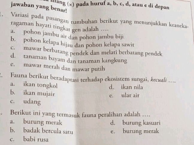 1. Variasi pada pasangan tumbuhan berikut | StudyX