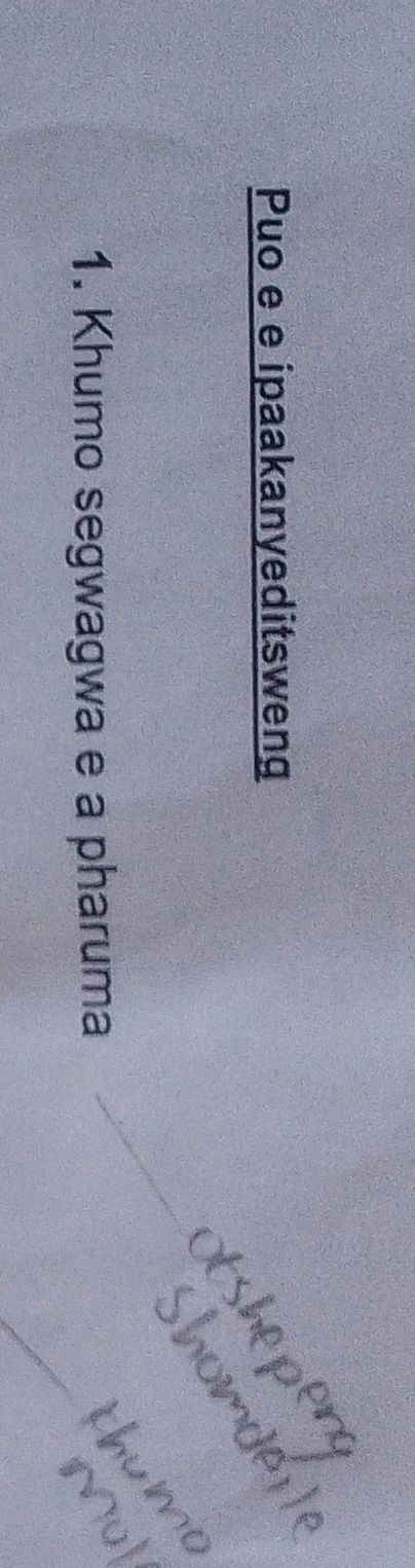 1. Khumo segwagwa e a pharuma Puo e e | StudyX