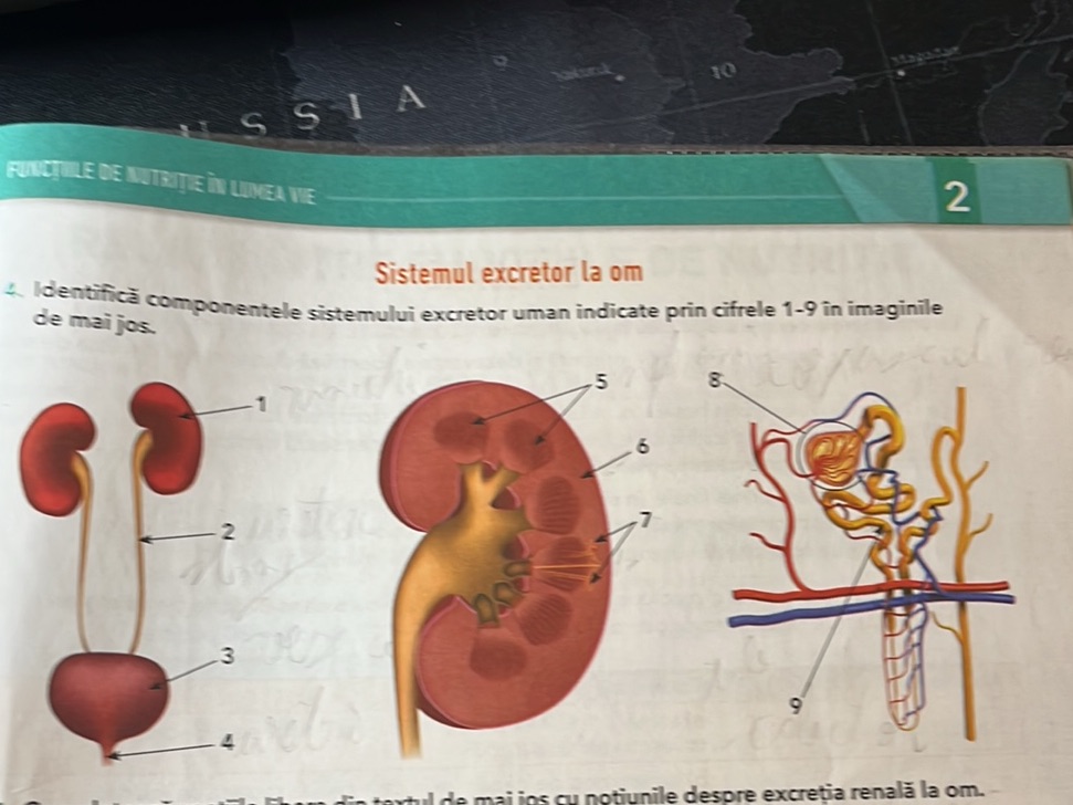4. Identifică componentele sistemului | StudyX