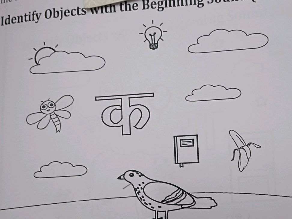 Identify Objects with the Beginning Sound | StudyX