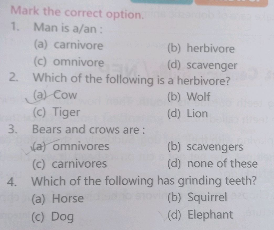 1. Man is a/an: (a) carnivore (b) herbivore | StudyX