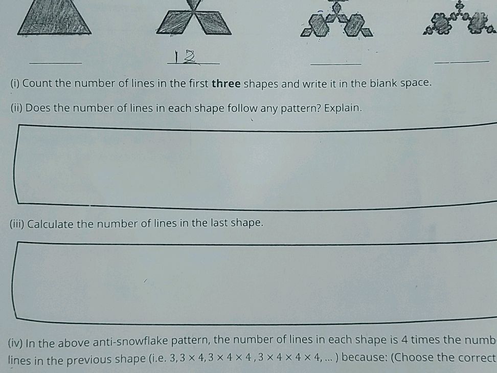 (i) Count the number of lines in the first | StudyX