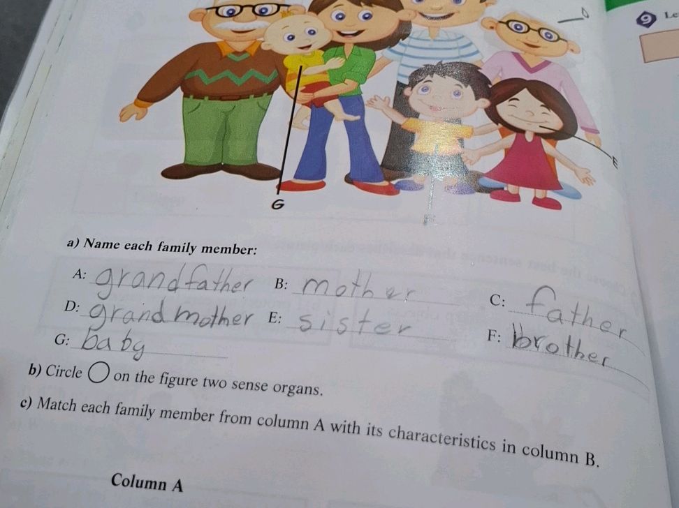 a) Name each family member: A: grandfather | StudyX