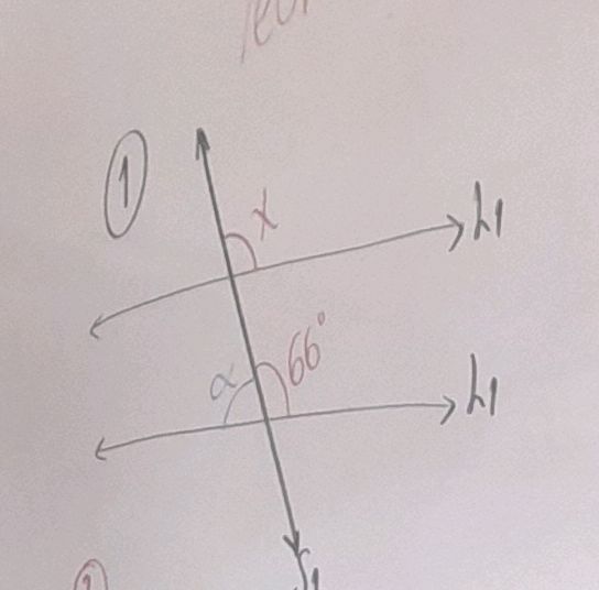 The image shows two parallel lines | StudyX