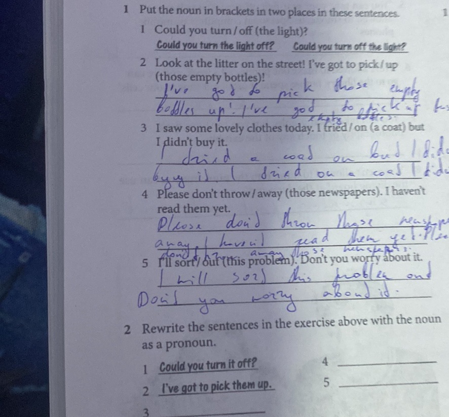 1 Put the noun in brackets in two places in | StudyX
