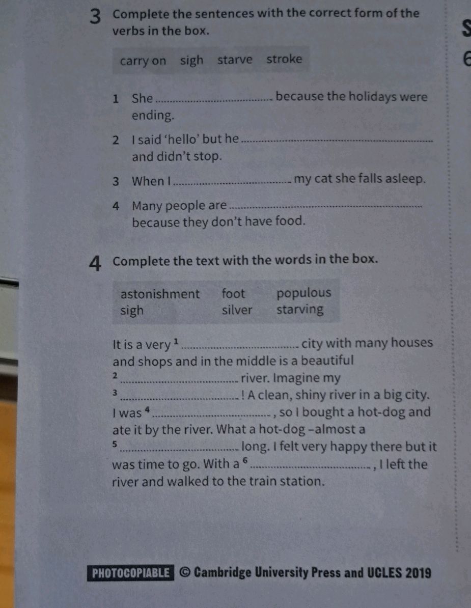 3 Complete the sentences with the correct | StudyX