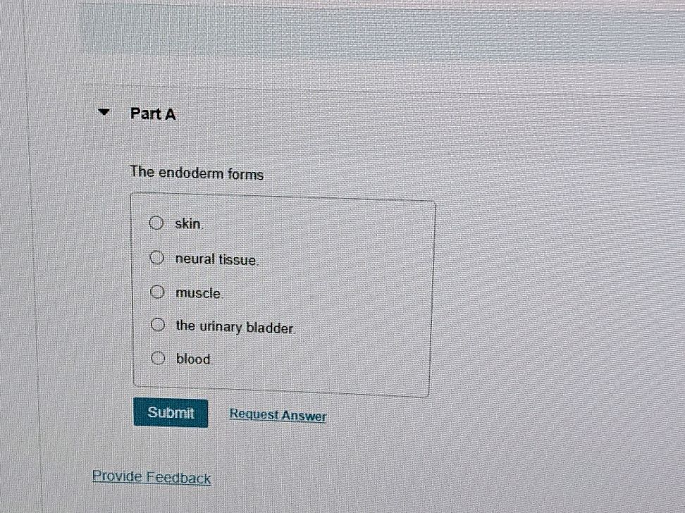 The endoderm forms skin. neural tissue. | StudyX