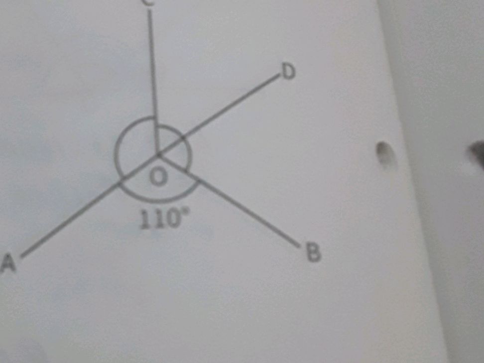 The image shows angles formed by | StudyX
