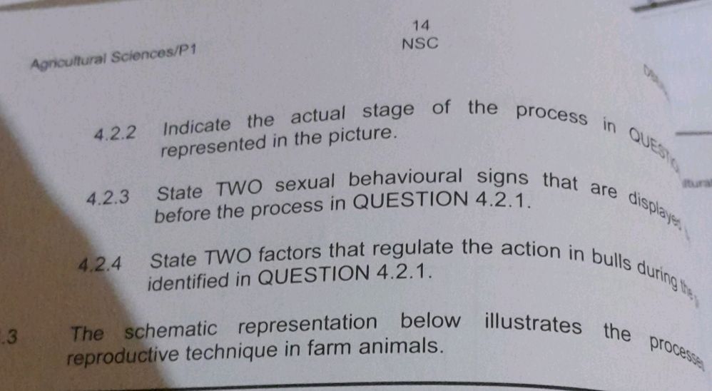 4.2.2 Indicate the actual stage of the | StudyX
