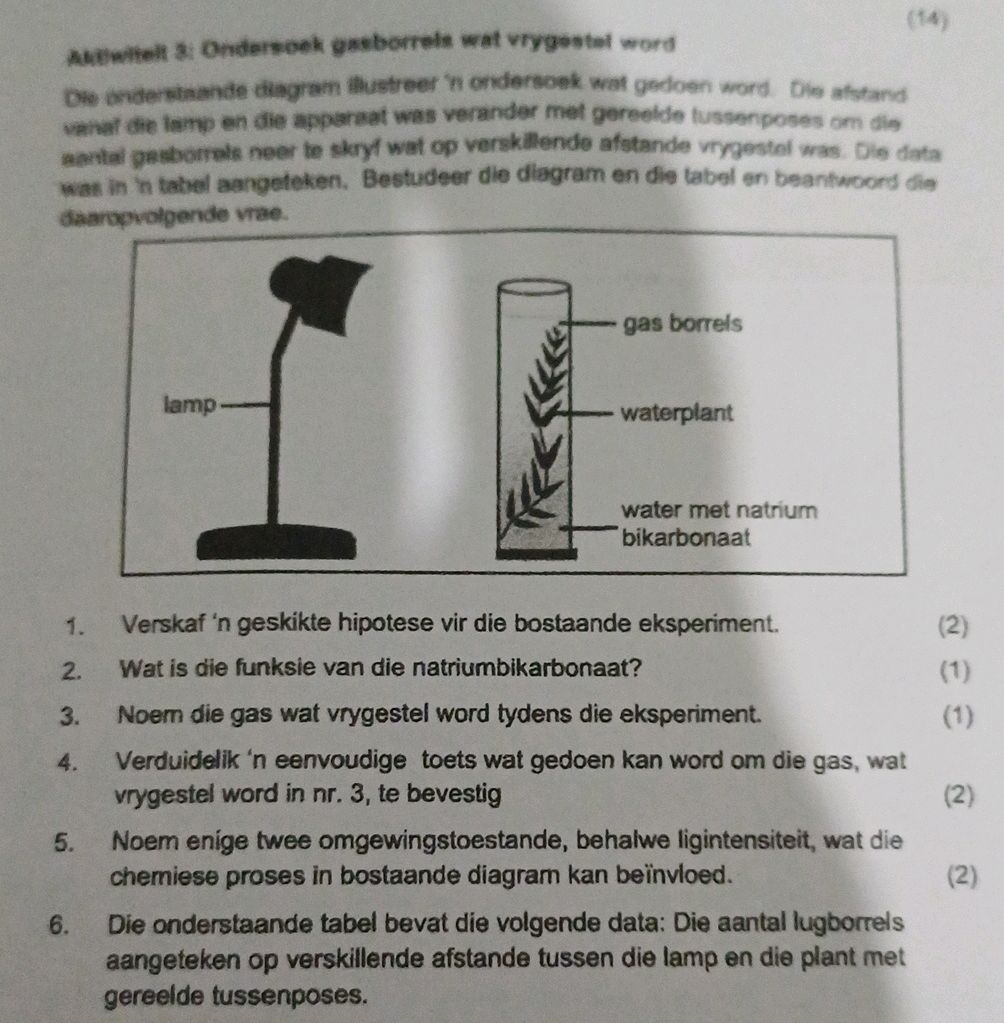1. Verskaf 'n geskikte hipotese vir die | StudyX