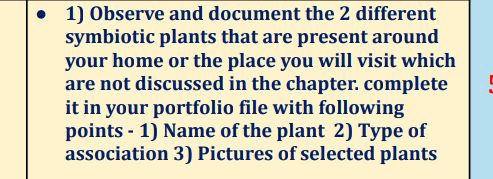 1) Observe and document the 2 different | StudyX
