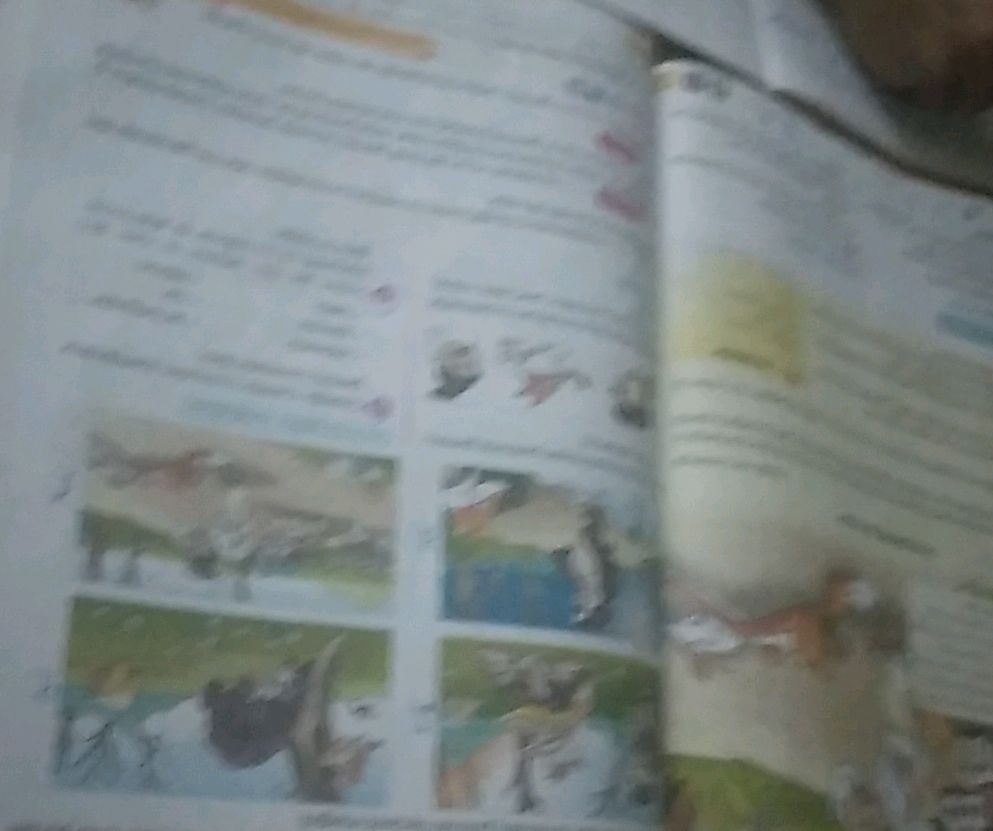 The image contains illustrations and text, | StudyX