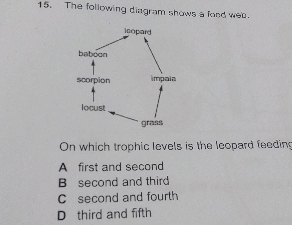 The following diagram shows a food web. | StudyX