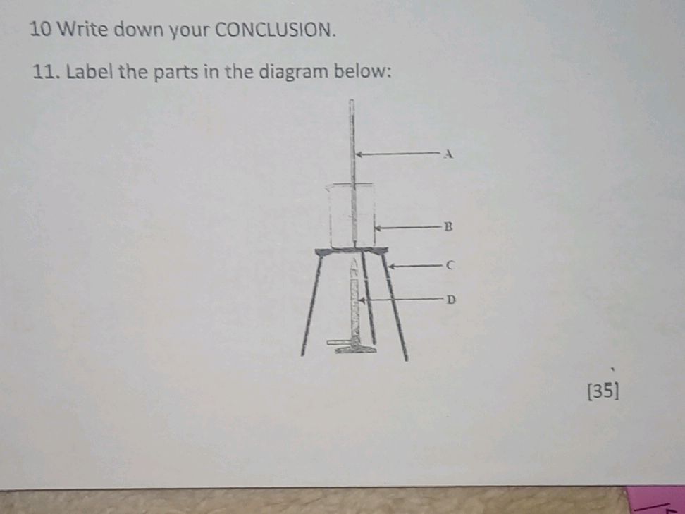 10 Write down your CONCLUSION. 11. Label | StudyX