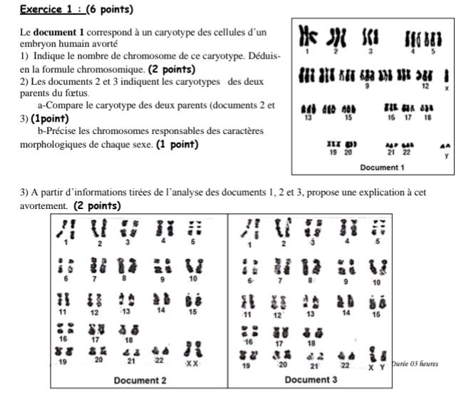 Exercice 1 : (6 points) Le document 1 | StudyX