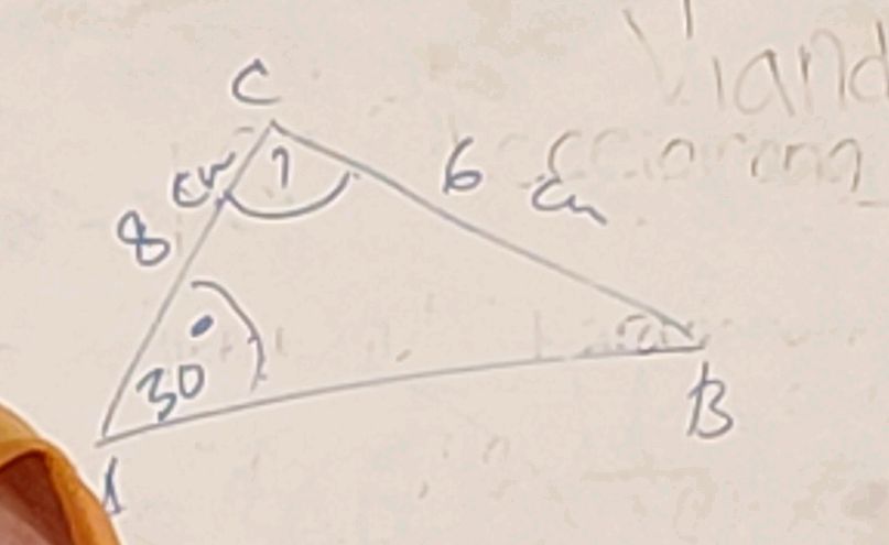 Triangle with sides labeled: 8 cm, 6 cm. | StudyX