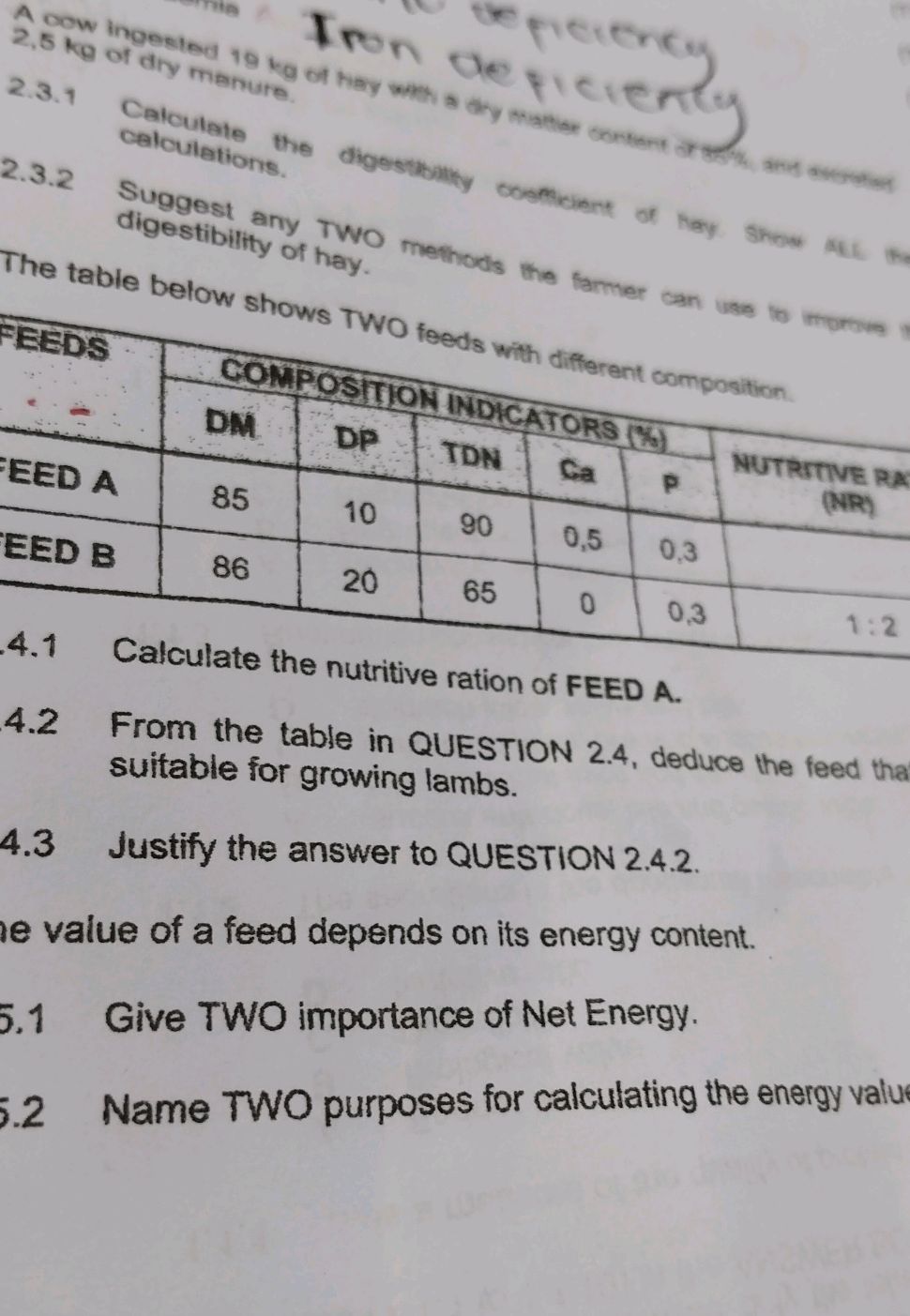 The table below shows TWO feeds with | StudyX