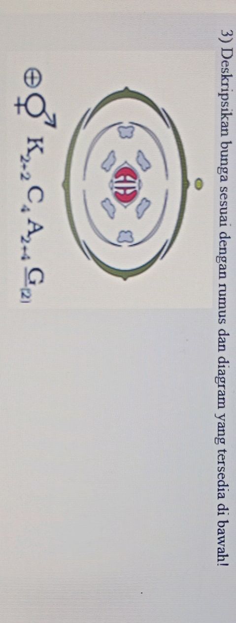 3) Deskripsikan bunga sesuai dengan rumus | StudyX