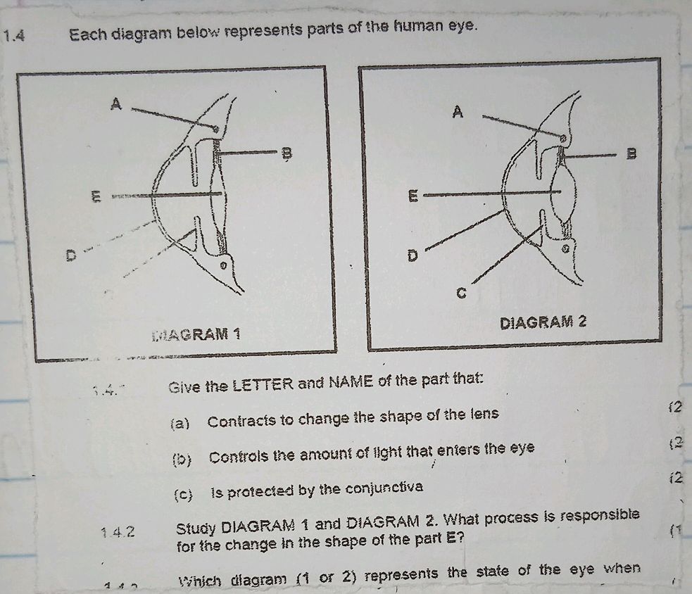 Each diagram below represents parts of the | StudyX