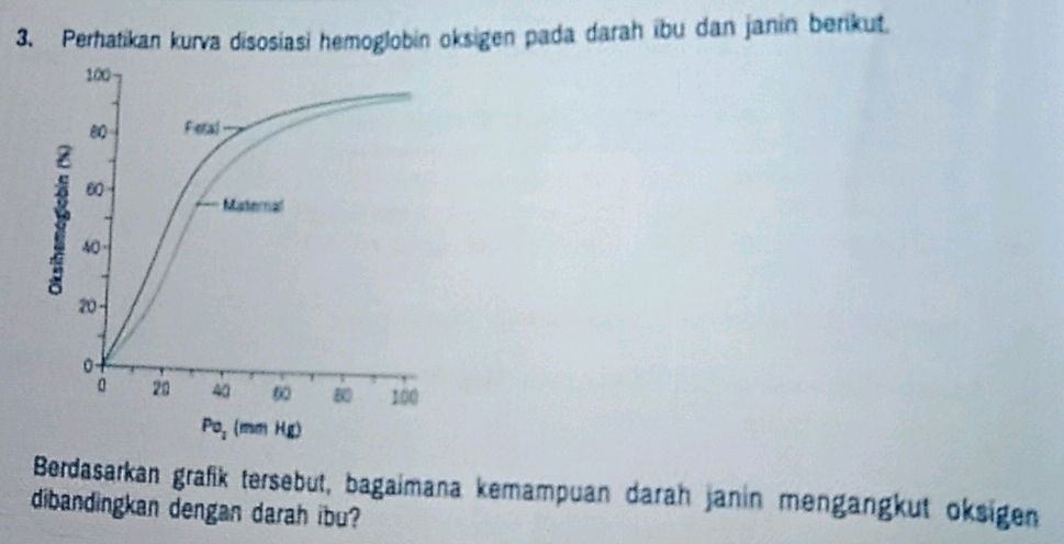 3. Perhatikan kurva disosiasi hemoglobin | StudyX