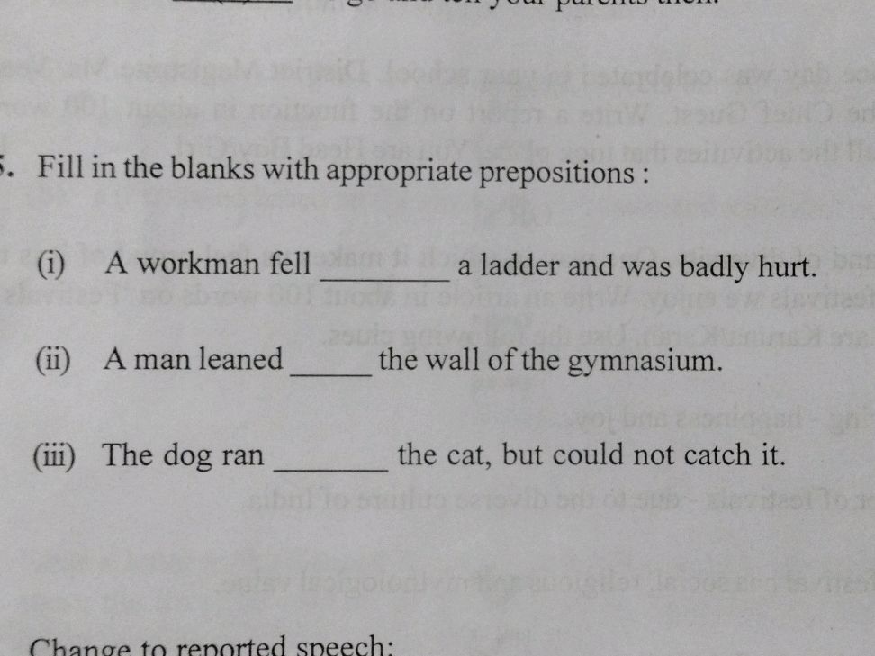 5. Fill in the blanks with appropriate | StudyX