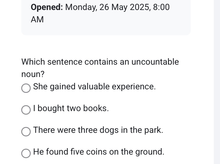 Which sentence contains an uncountable noun? | StudyX