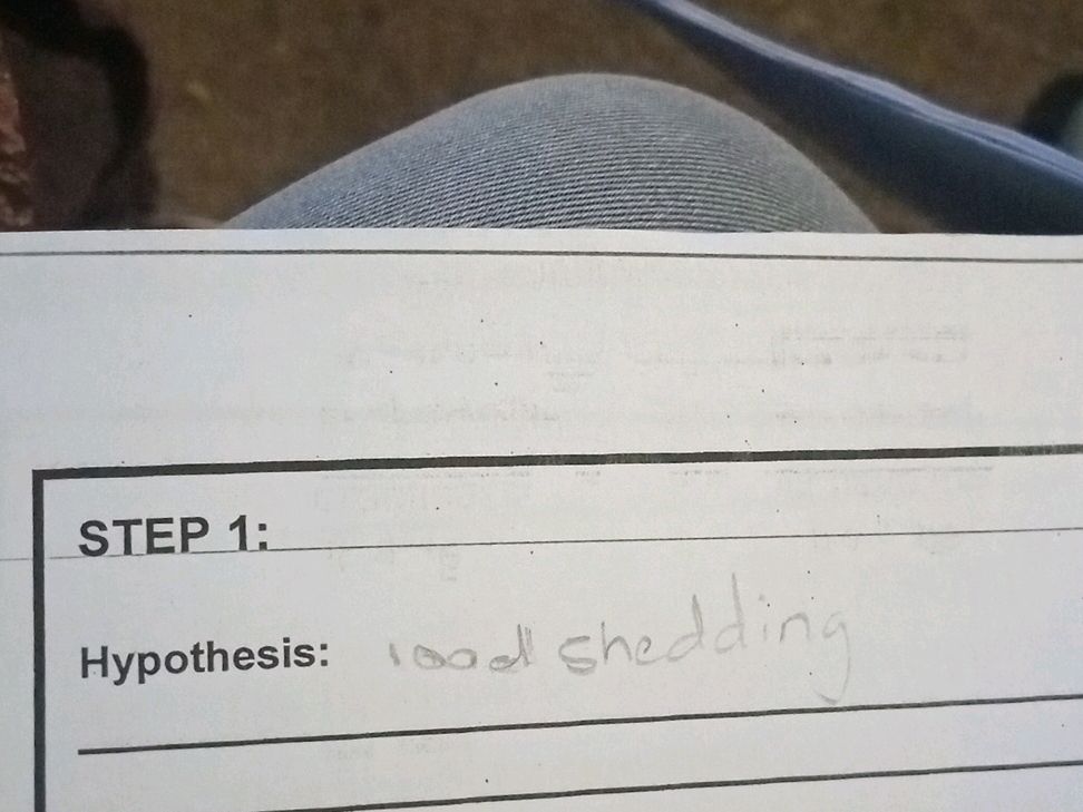 Hypothesis: 100d shedding | StudyX