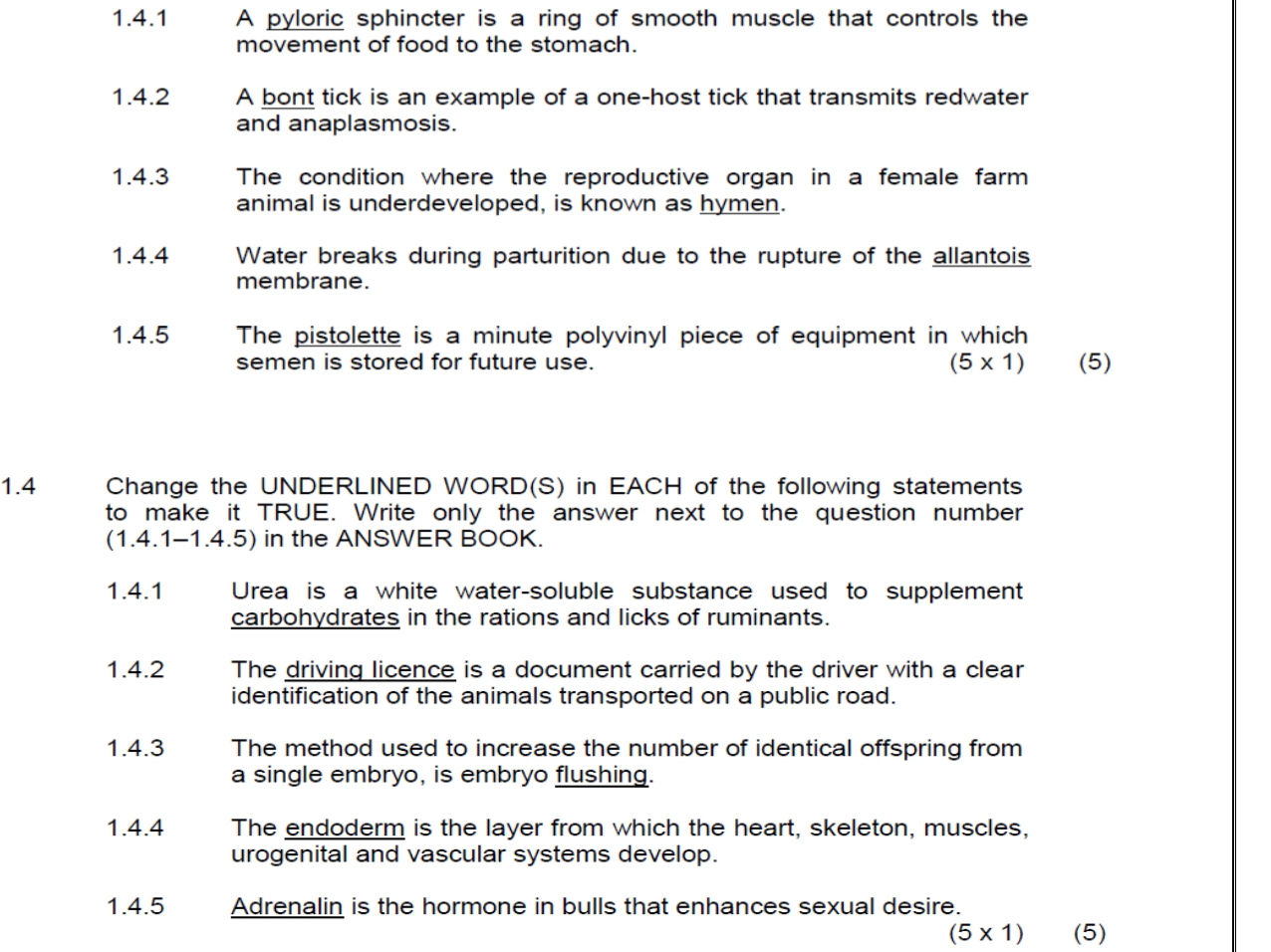 1. Change the UNDERLINED WORD(S) in EACH of | StudyX
