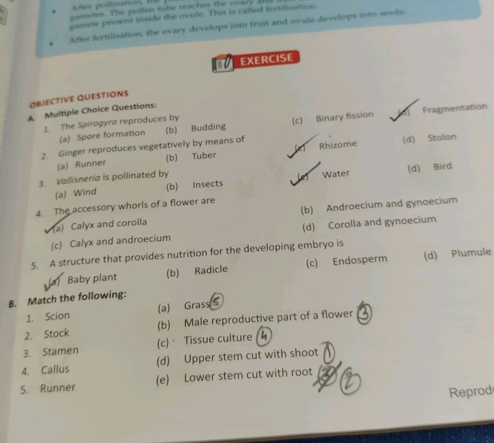 A. Multiple Choice Questions: 1. The | StudyX