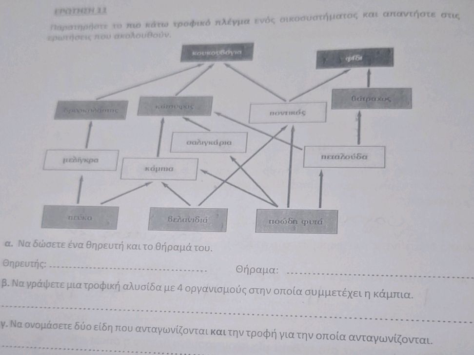 ΕΡΩΤΗΣΗ 11 Παρατηρήστε το πιο κάτω τροφικό | StudyX