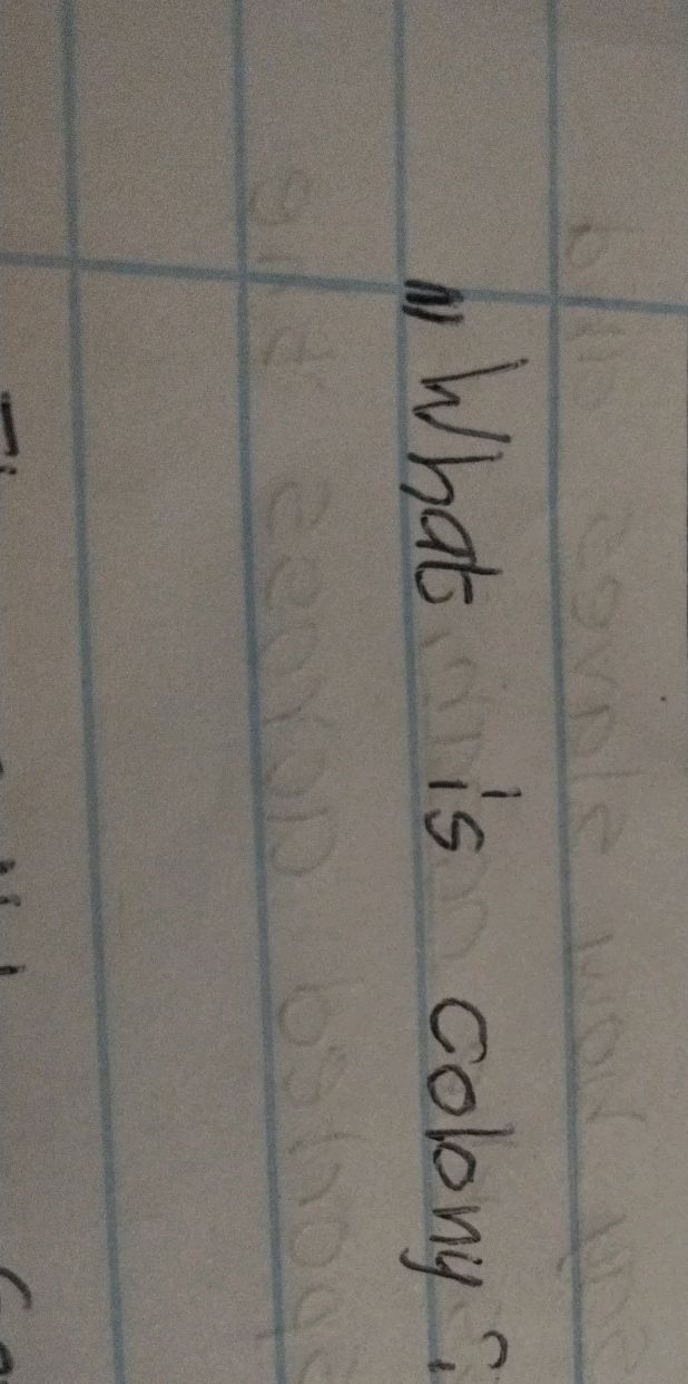 What is a colony? | StudyX