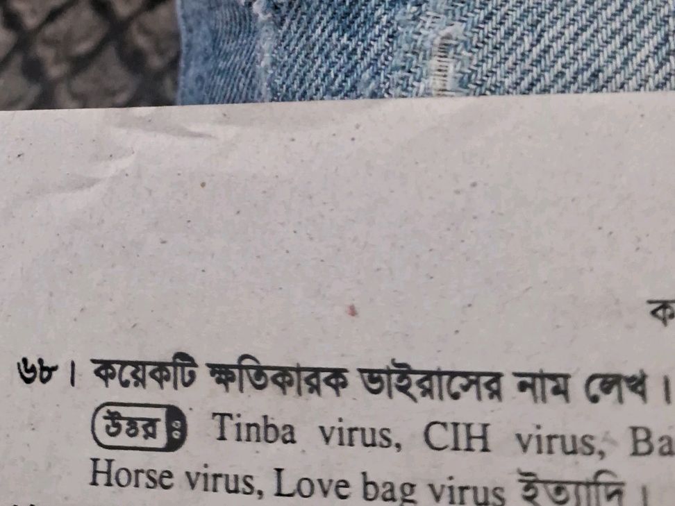 ৬৮। কয়েকটি ক্ষতিকারক ভাইরাসের নাম লেখ। | StudyX