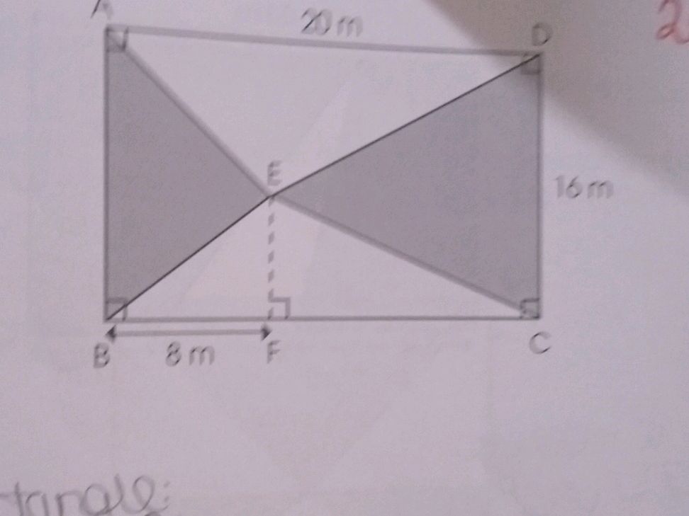 The image shows a rectangle ABCD with the | StudyX