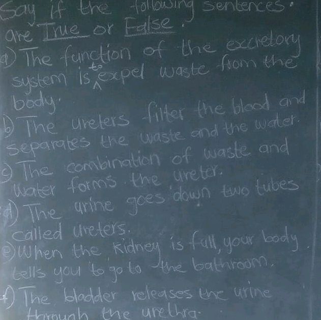 Say if the following sentences are True or | StudyX