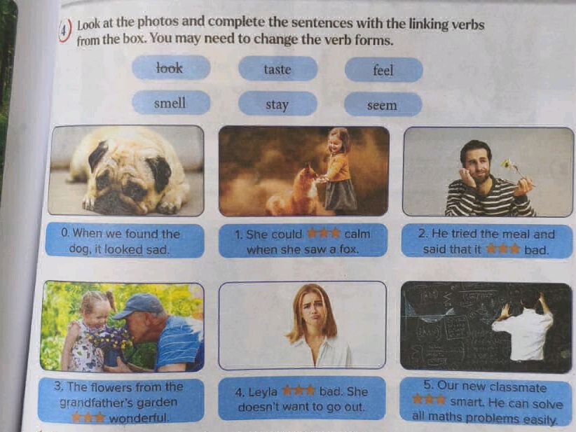 Look at the photos and complete the | StudyX