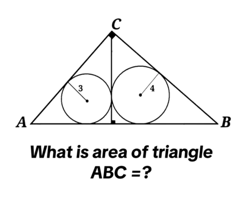 Area of Triangle ABC Calculation | StudyX