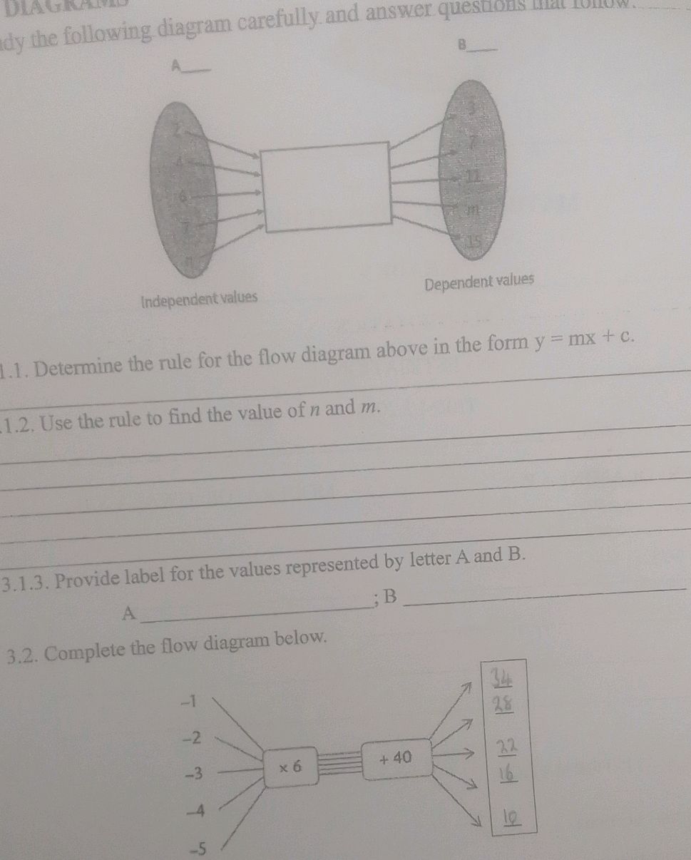 1.1. Determine the rule for the flow diagram | StudyX