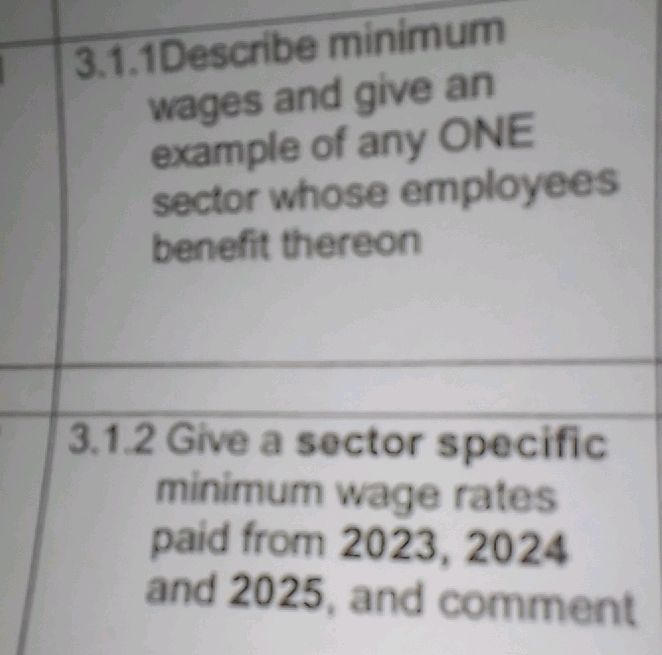 3.1.1 Describe minimum wages and give an | StudyX