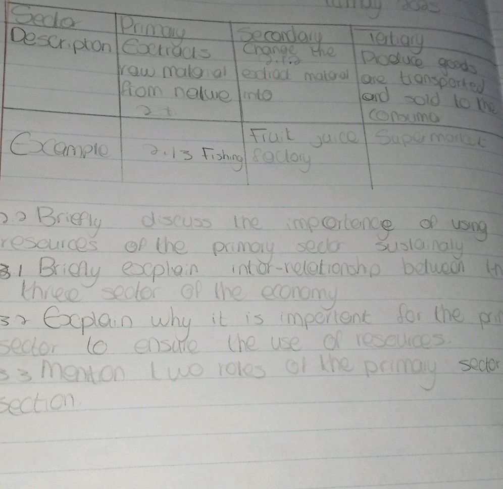 | Sector | Primary | Secondary | Tertiary | | StudyX