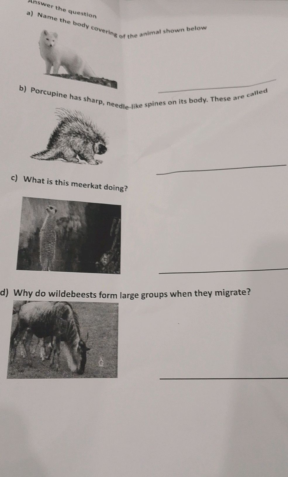 a) Name the body covering of the animal | StudyX