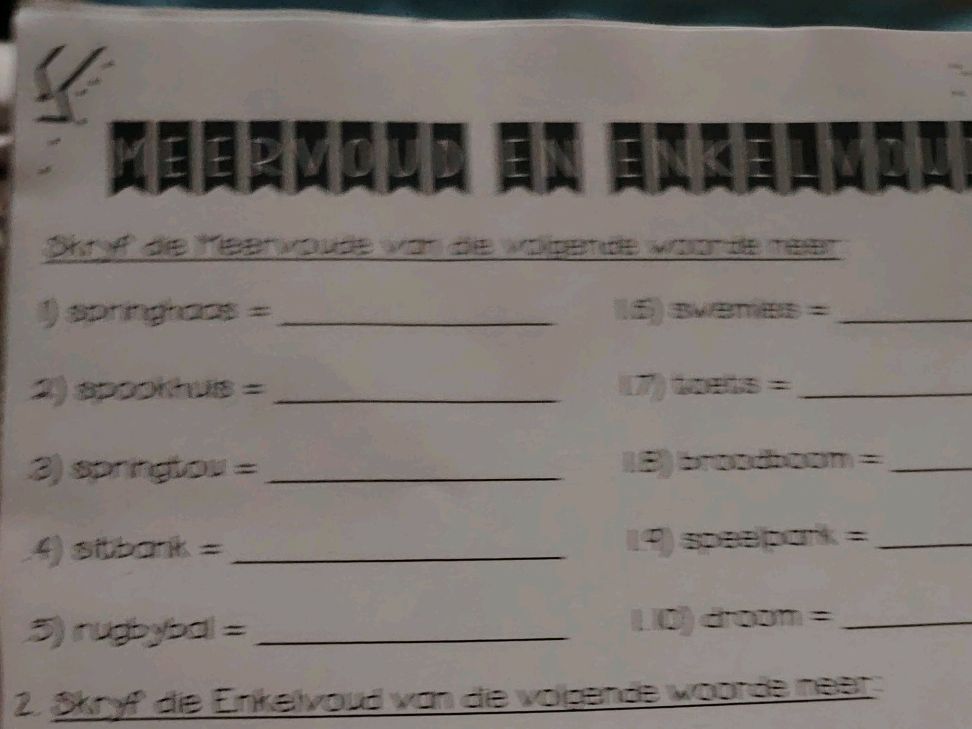 Skryf die Meervoude van de volgende woorde | StudyX