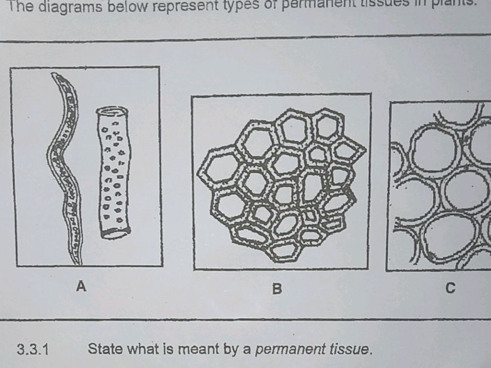 The diagrams below represent types of | StudyX